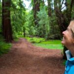 San Francisco: Muir Woods and Sausalito Tour with Admission - The Review from Visitors