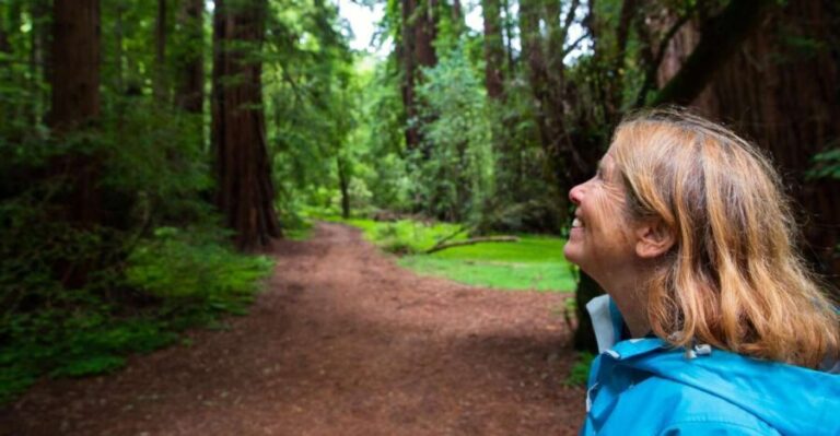 San Francisco: Muir Woods and Sausalito Tour with Admission - The Review from Visitors