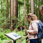 San Francisco: Muir Woods & Sausalito Tour with Ferry Option - Transportation and Timing: What You Need to Know