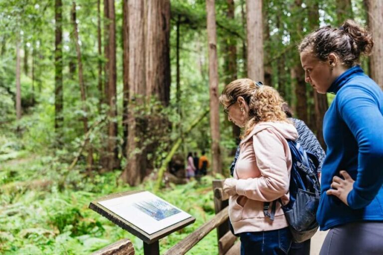 San Francisco: Muir Woods & Sausalito Tour with Ferry Option - Transportation and Timing: What You Need to Know