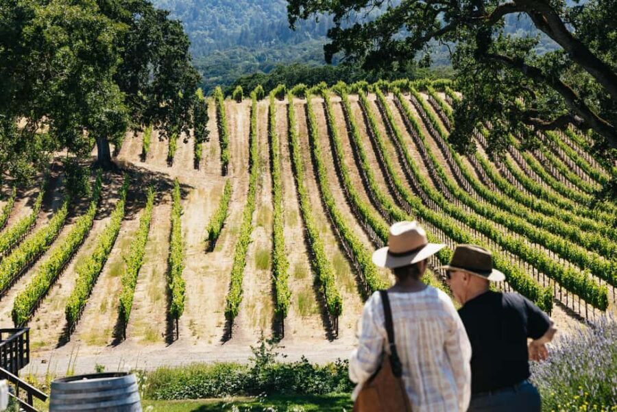 San Francisco: Napa and Sonoma Valley Wine Tour - The Winery Visits and Tastings