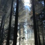 San Francisco Private Tour: Hidden Gems & Highlights by a Local - What Makes This Tour Stand Out?