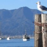 San Francisco Sunset Cruise - FAQ