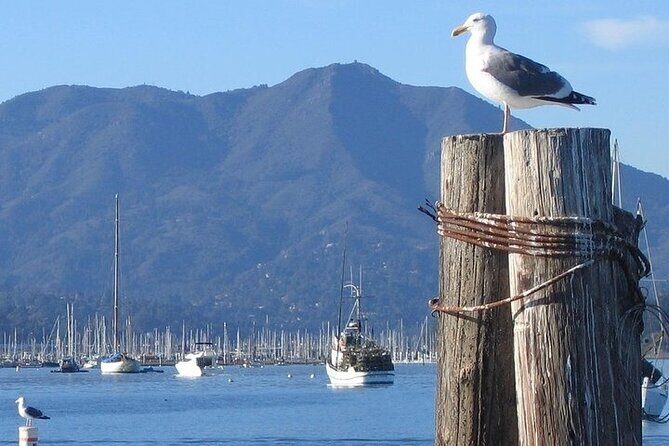 San Francisco Sunset Cruise - FAQ