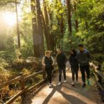 San Francisco to Muir Woods Shuttle - The Value of This Tour