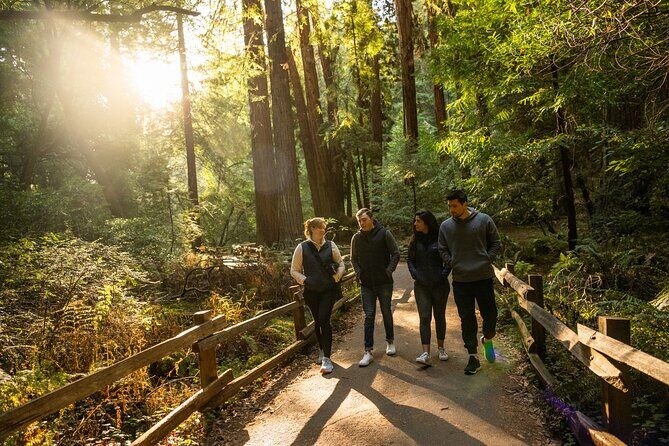San Francisco to Muir Woods Shuttle - The Value of This Tour