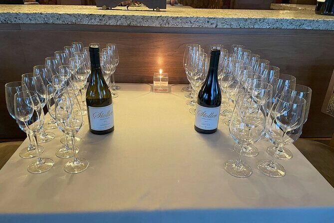 San Francisco Wine Country Tour in EV VW Van - What to Expect on Your Day