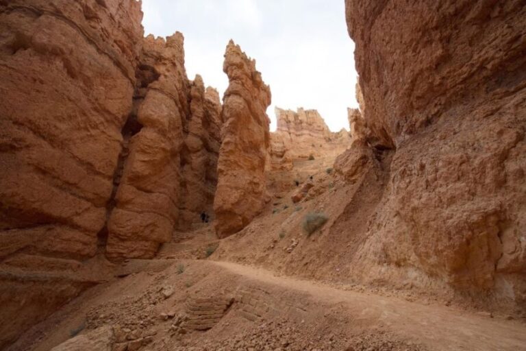 San Francisco: Yosemite, Las Vegas, Bryce & Zion, 6-Day Tour - What You’ll Love About This Tour