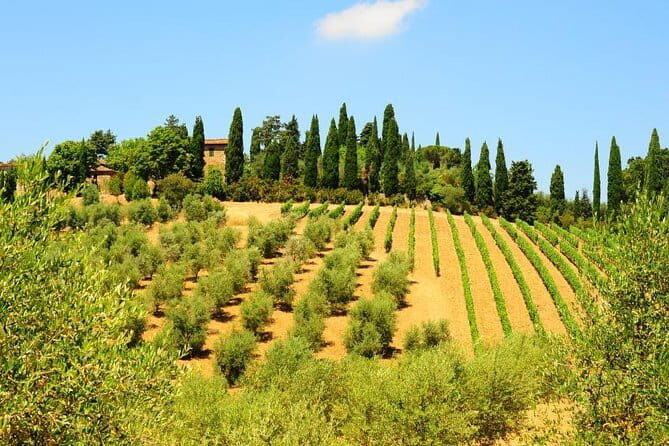 San Gimignano, Siena, Monteriggioni: Fully Escorted Tour, Lunch & Wine Tasting - Who Should Consider This Tour?