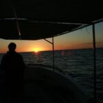 San Jose del Cabo Small-Group Sunrise Whale Watching - Authentic Reviews Speak Volumes