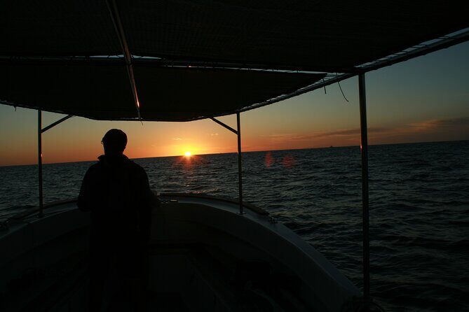 San Jose del Cabo Small-Group Sunrise Whale Watching - Authentic Reviews Speak Volumes
