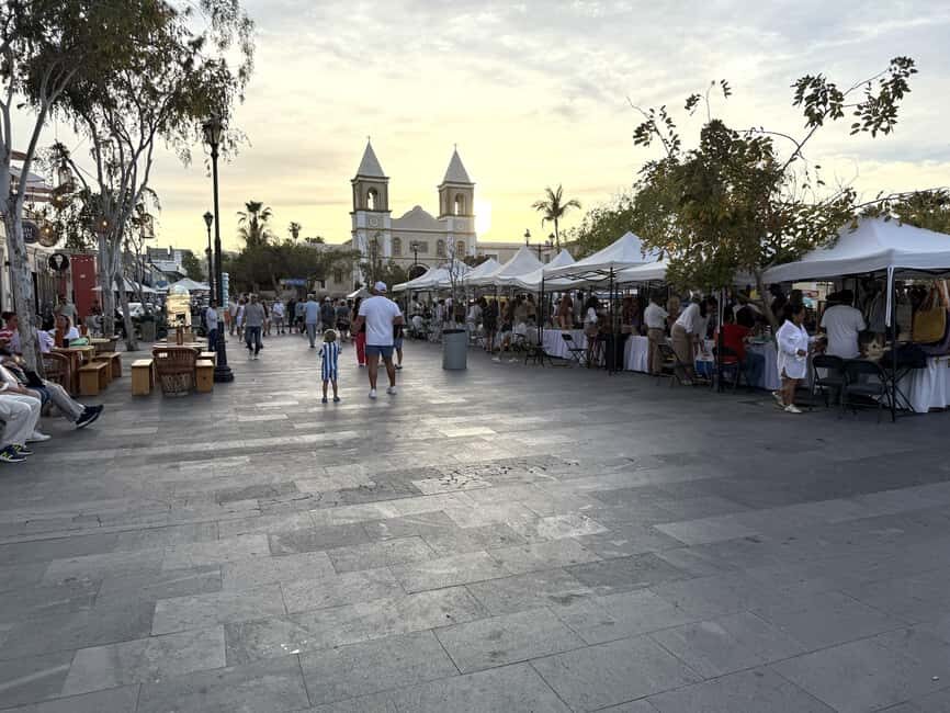 San José del Cabo: Thursday Night Art Walk Tour - What Youll Experience