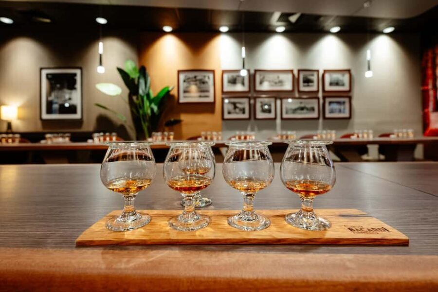 San Juan: Casa Bacardi Distillery Tour - A Detailed Look at the Bacardi Experience