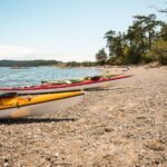 San Juan Island: 3-h Griffin Bay Tour - Practical Details to Know