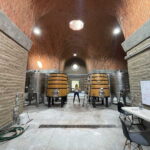 San Miguel de Allende: A Journey Through Vineyards - The Balance of Value and Experience