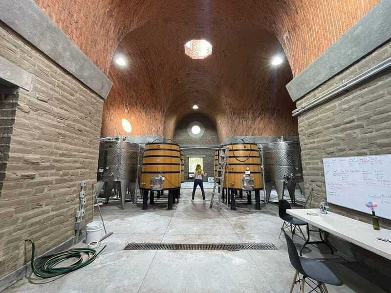 San Miguel de Allende: A Journey Through Vineyards - The Balance of Value and Experience