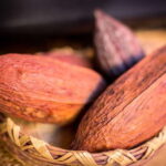 San Miguel de Allende: Chocolate Tasting and Walking Tour - An In-Depth Look at the Tour Experience