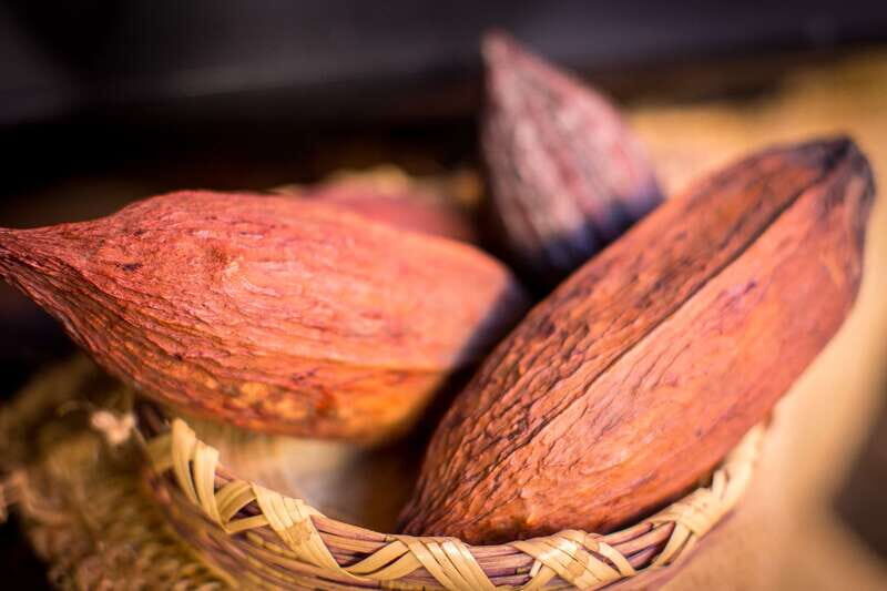 San Miguel de Allende: Chocolate Tasting and Walking Tour - An In-Depth Look at the Tour Experience