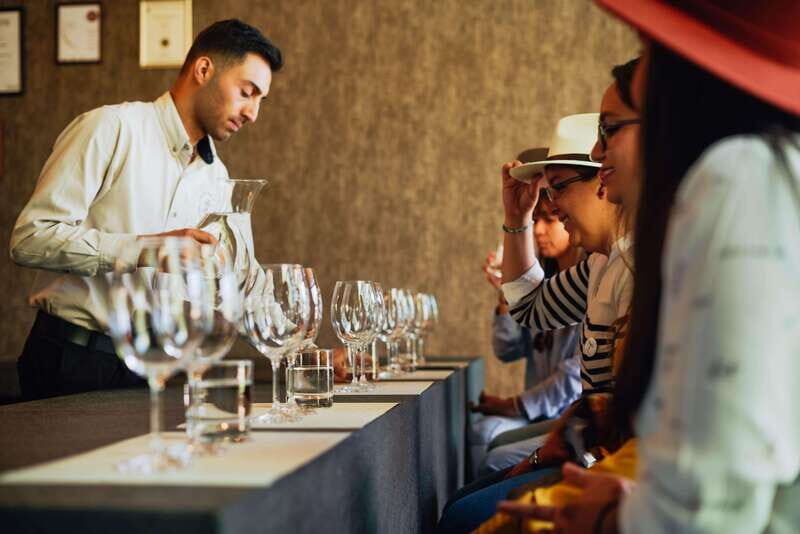 San Miguel de Allende: Independence Valley Wine Route - Who Should Consider This Tour?