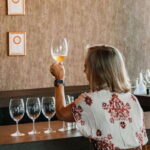 San Miguel de Allende: Local Vineyard Tour & Wine Tasting - Understanding the Value and Price