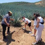 San Sebastian del Oeste: Tequila Tasting and Coffee Tour - What Travelers Say
