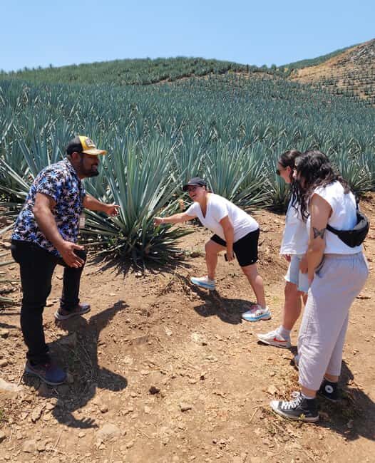 San Sebastian del Oeste: Tequila Tasting and Coffee Tour - What Travelers Say