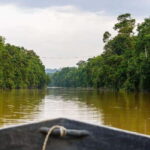 Sandakan : 3-Day Kinabatangan River Wildlife Adventure - The Sum Up: Who Will Love This Adventure?