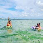 Sandbar, Beach, Dolphin Watching Cruise Sarasota, Florida - The Itinerary Breakdown: What to Expect
