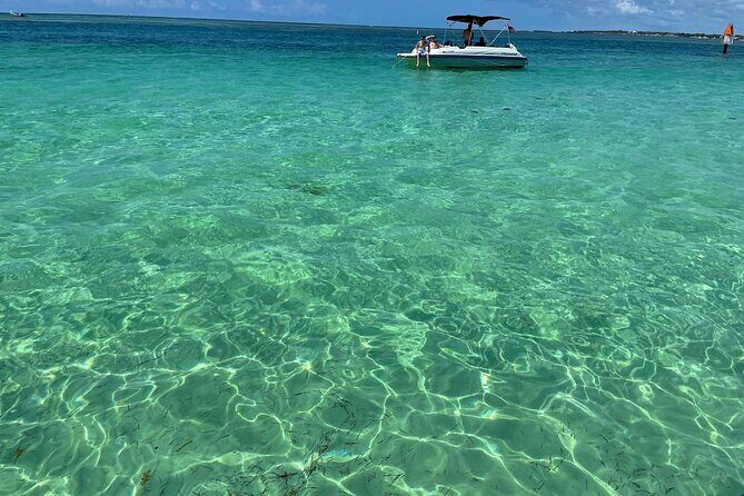 Sandbar Excursion - Analyzing the Cost and Value