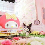 Sanrio Puroland Tokyo Ticket - Who Is This Experience Best For?