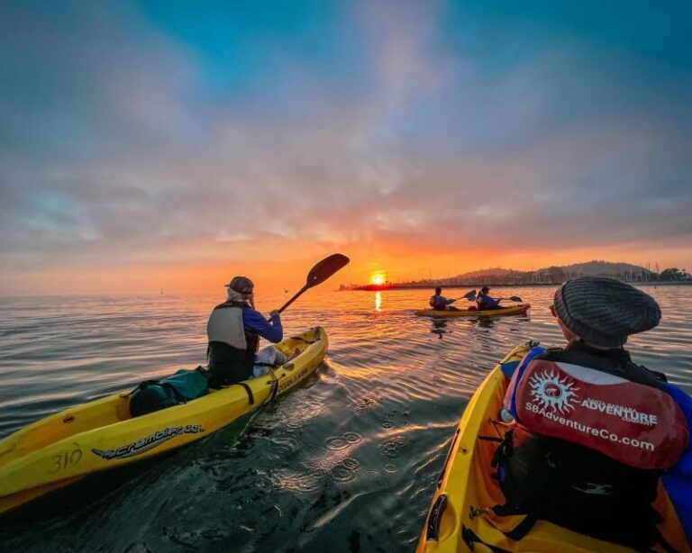 Santa Barbara Harbor: Sunset Kayak Tour (2 Hours) - What Makes This Tour Stand Out