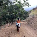 Santa Barbara: Horseback Riding and Wine Tasting Tour - The The Sum Up: Is it Worth It?