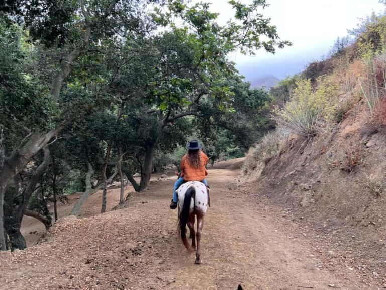 Santa Barbara: Horseback Riding and Wine Tasting Tour - The The Sum Up: Is it Worth It?