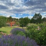 Santa Fe Botanical Garden General Admission Ticket - Who Is This Garden For?