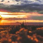 Santa Fe Private Walking Tour: Hidden Gems & Historic Charm - Who Is This Tour Best For?