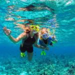Santa Maria and Chileno Bay Snorkel Adventure Los Cabos - What to Expect on Your Snorkel Adventure