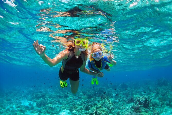 Santa Maria and Chileno Bay Snorkel Adventure Los Cabos - What to Expect on Your Snorkel Adventure