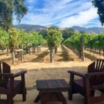 Santa Rosa North Sonoma County Small Group Winery Tour - What Makes This Tour Stand Out?