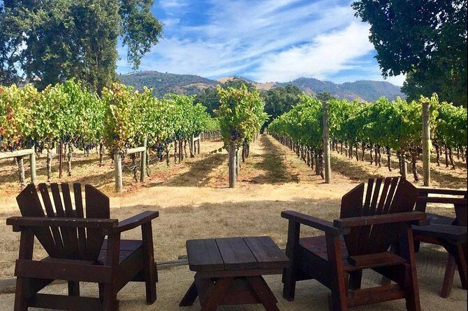 Santa Rosa North Sonoma County Small Group Winery Tour - What Makes This Tour Stand Out?