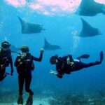 Sanur Open Water Course learn diving in 3 Days - Get certified & Dive everywhere - The Practicalities: Group Size, Timing, and Cost