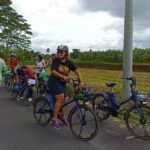 Sanur Village E-bike Tour: Family-Friendly Adventure - Authenticity and Experience Quality