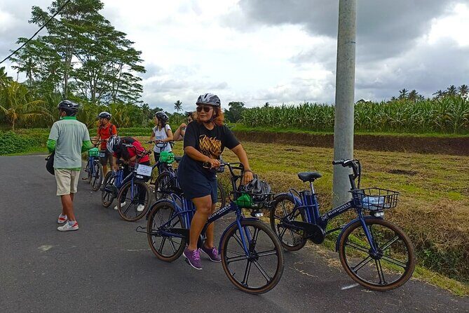 Sanur Village E-bike Tour: Family-Friendly Adventure - Authenticity and Experience Quality