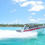 Saona Island Day Trip + Lunch + Open Bar from Punta Cana - Who Should Consider This Tour?