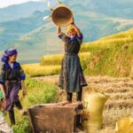 Sapa 1-Day trekking to Lao Chai-Ta van village - Is It Worth It?