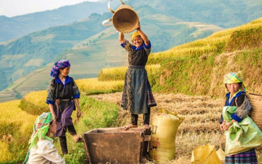 Sapa 1-Day trekking to Lao Chai-Ta van village - Is It Worth It?