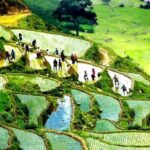 Sapa 2D1N All Included (Bus & Homestay) - Accommodation & Meals: Authentic and Practical