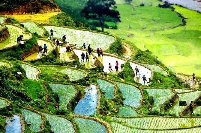 Sapa 2D1N All Included (Bus & Homestay) - Accommodation & Meals: Authentic and Practical