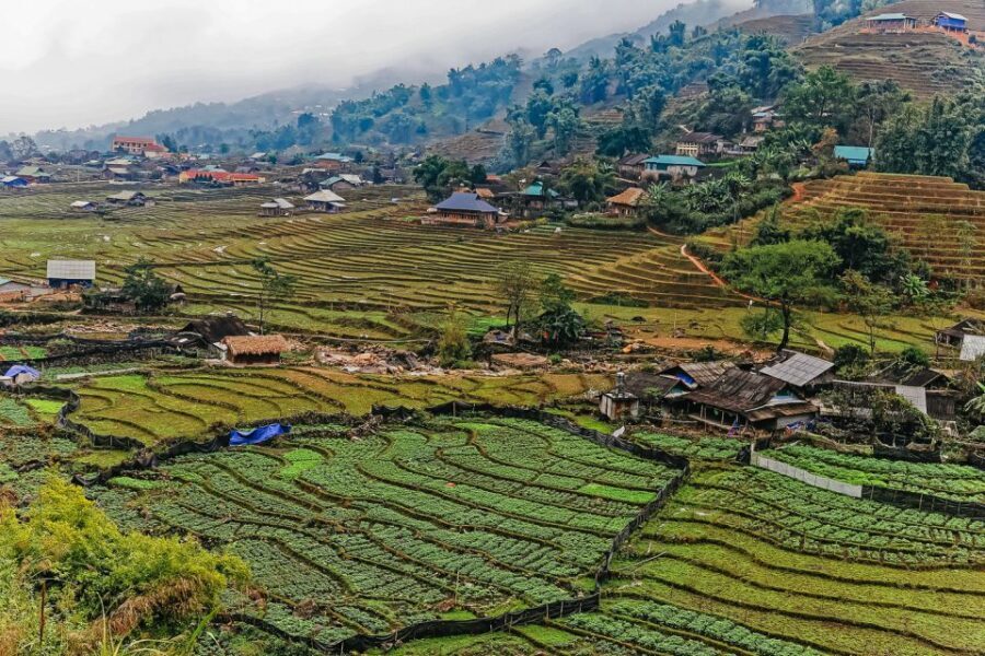 Sapa: 3-Day, 3-Night Trek and Hotel with Overnight Train - What Makes This Tour Stand Out