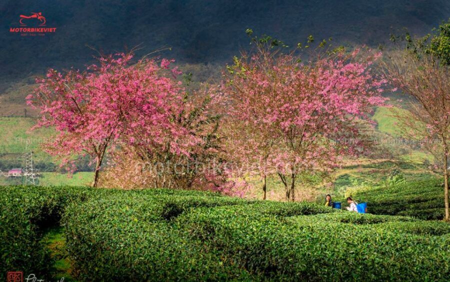 SAPA 3 DAYS 2 NIGHTS PACKAGE - Day 1: From Hanoi to the Heart of Sapa