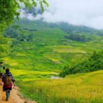 Sapa beautiful rice field, village - Easy walking kid,senior - Why This Tour Delivers Real Value